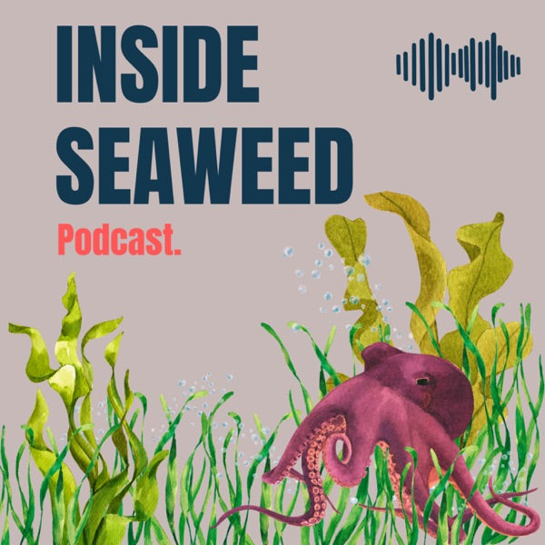 Inside Seaweed – Investable Oceans