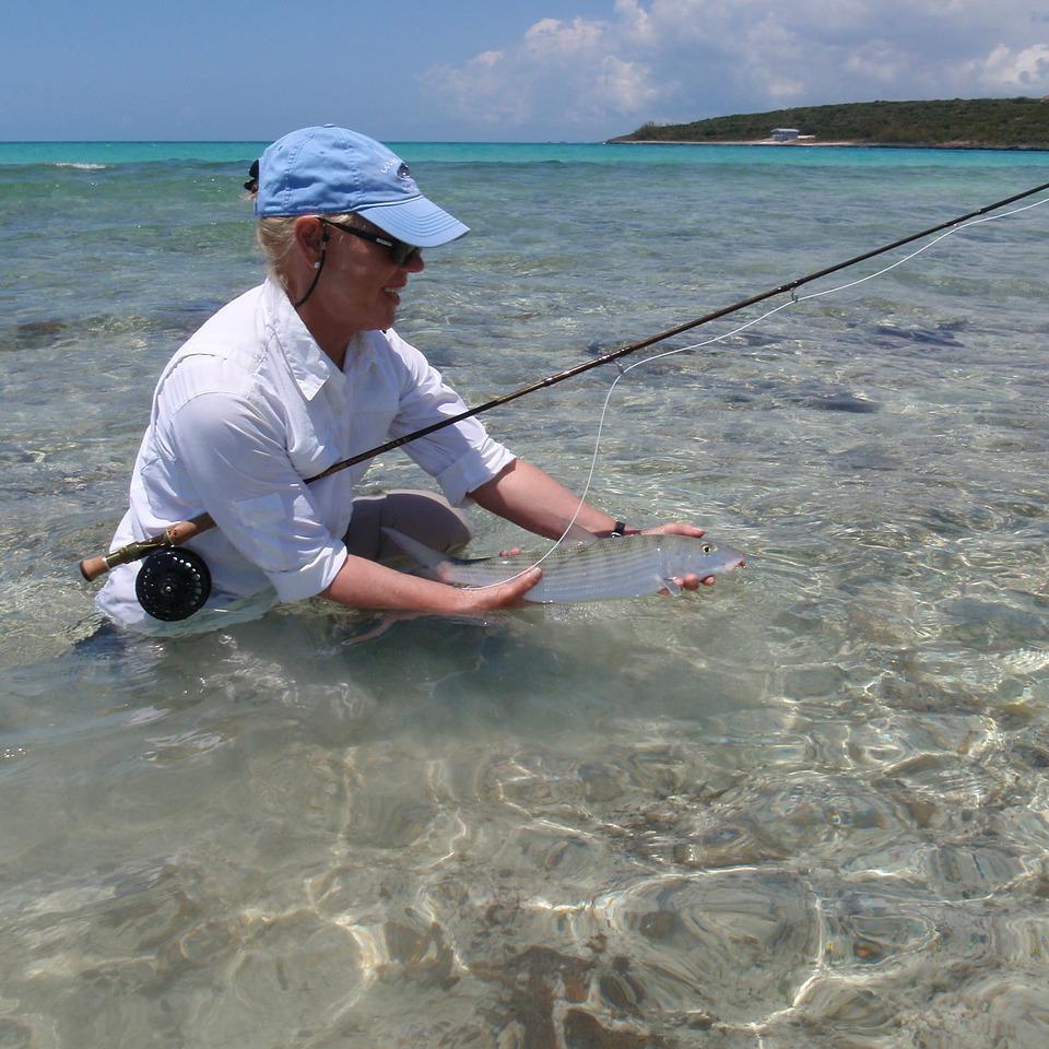 Fish on drugs: cocktail of medications is ‘contaminating ocean food ch ...