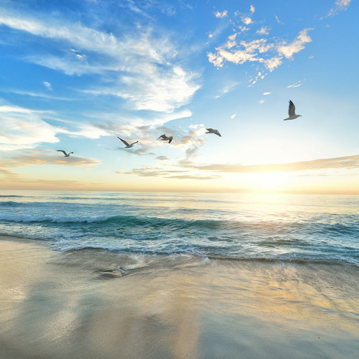 SWEN Capital Partners announces €160m first close of second ocean fund ...