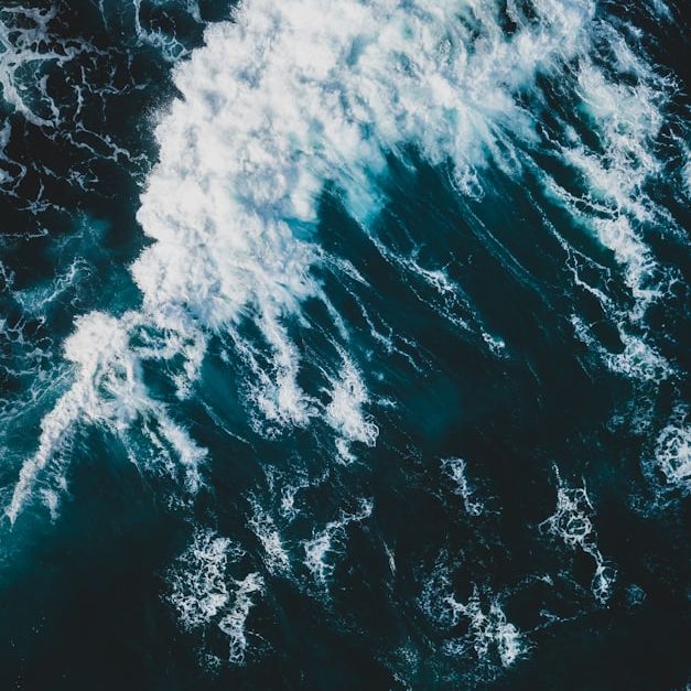 Katapult and OCTAVE Capital launch $75m Asian ocean fund – Investable ...