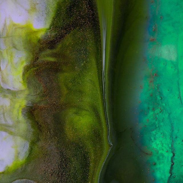 “World’s largest mass microalgae biomass production plant” set to open ...