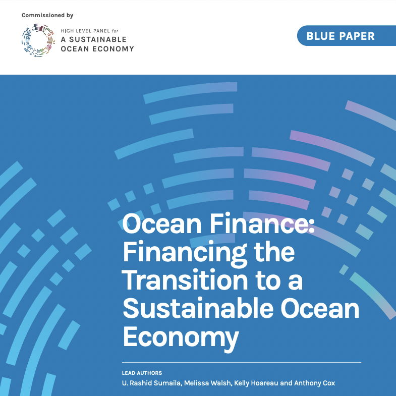 Ocean Finance: Financing the Transition to a Sustainable Ocean Economy ...