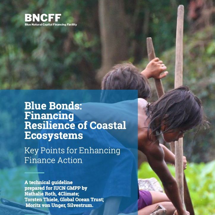 Blue Bonds: Financing Resilience of Coastal Ecosystems – Investable Oceans