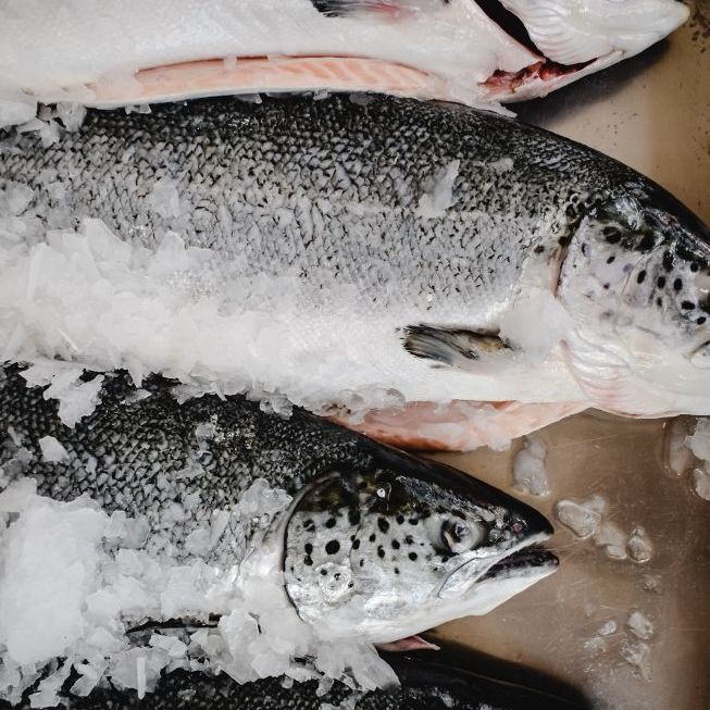 Jennifer Bushman – Investable Oceans