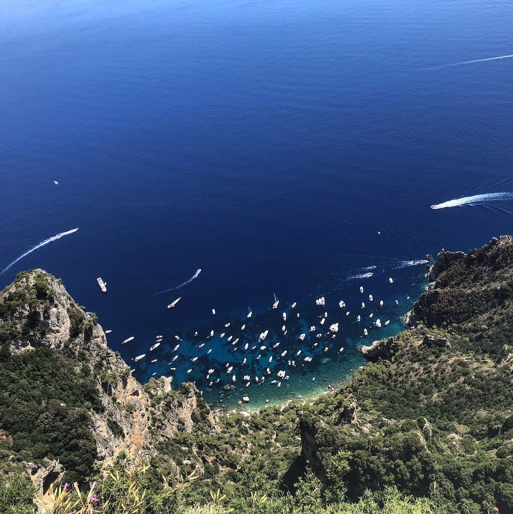 Business for Ocean Sustainability – Investable Oceans
