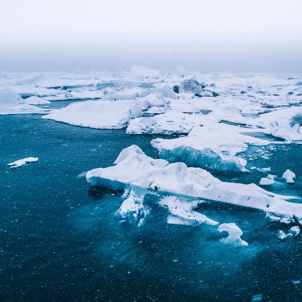 Arctic Report Card: Update for 2020 – Investable Oceans