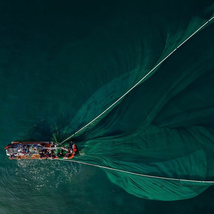 How AI Anchors The Future Of Fishing & Charts The Course To Sustainabi ...