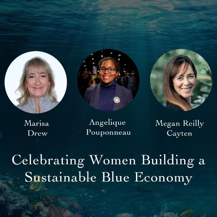 Celebrating Women Building a Sustainable Blue Economy – Investable Oceans