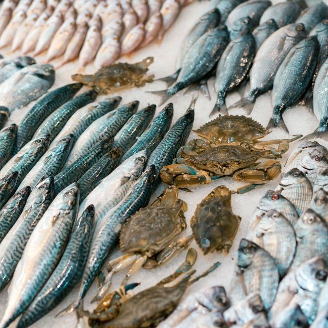 Exploring Alternative Seafood Production – Investable Oceans