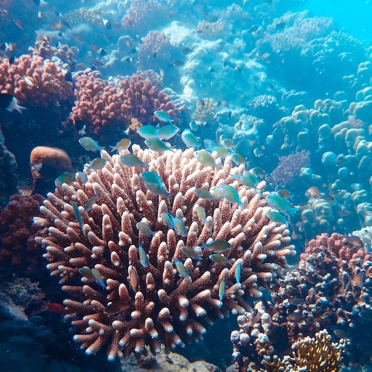 How Innovation And Collaboration Can Transform Ocean Health ...