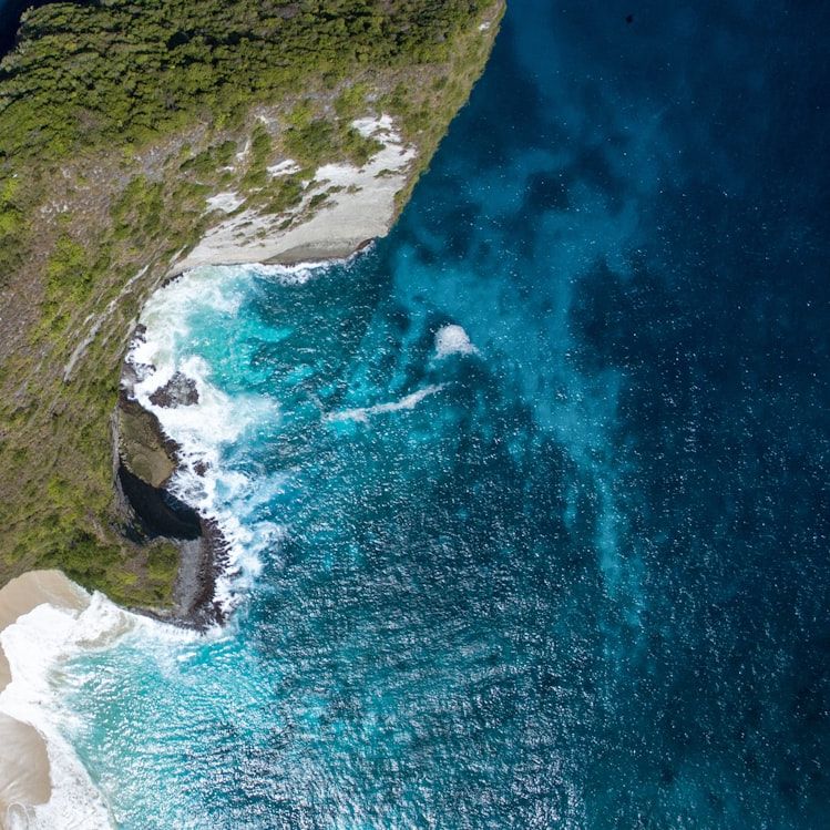 30x30 Southeast Asia Ocean Fund Launched to Protect Marine Biodiversit ...
