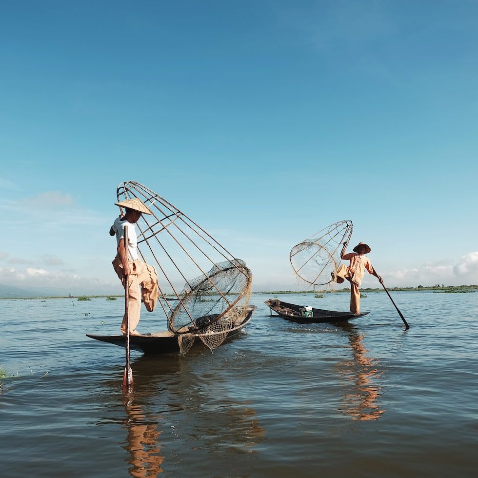 4 ways to ensure the future of aquaculture is sustainable – Investable ...