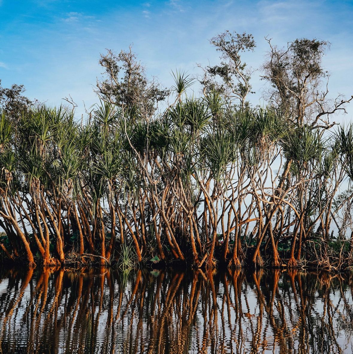 Blue nature-based solutions: a win for biodiversity, climate and commu ...