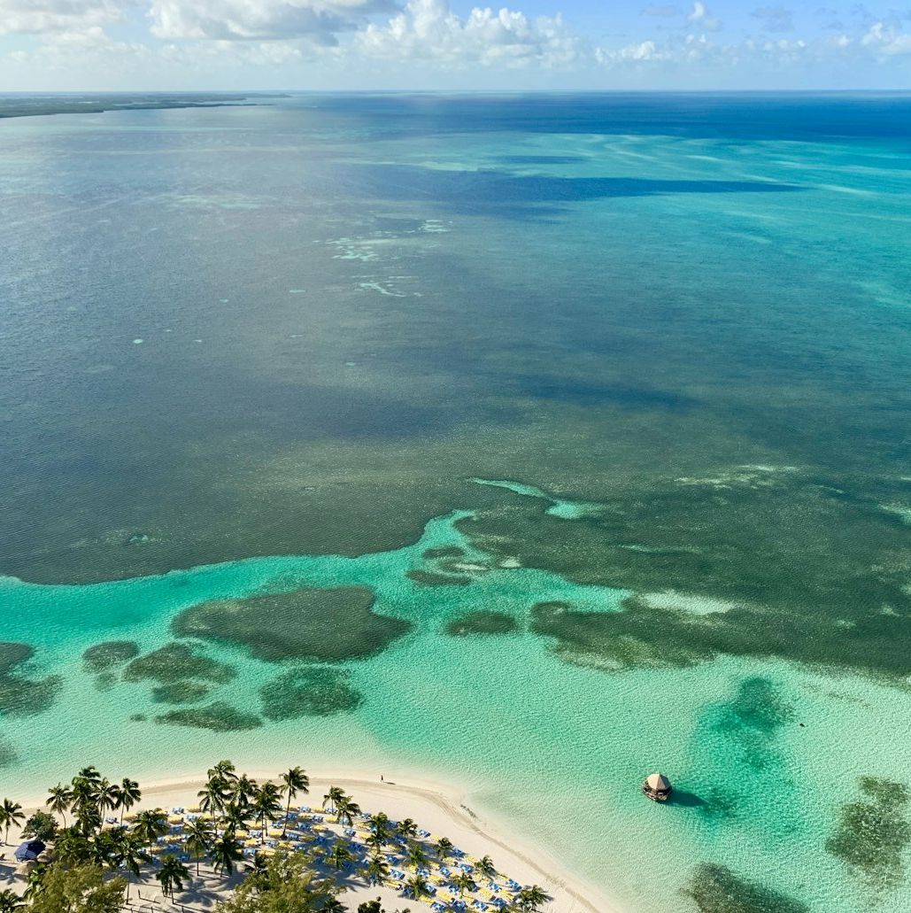 Bahamas debt swap unlocks $124 million for ocean protection ...
