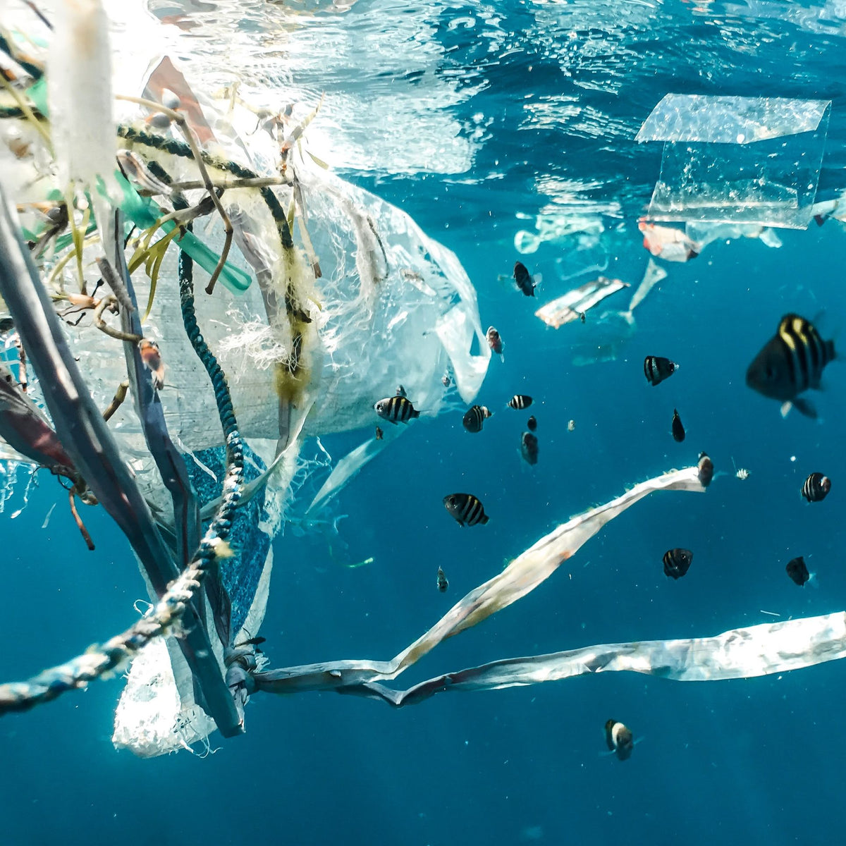 Breaking the Plastic Wave - Summary Report – Investable Oceans