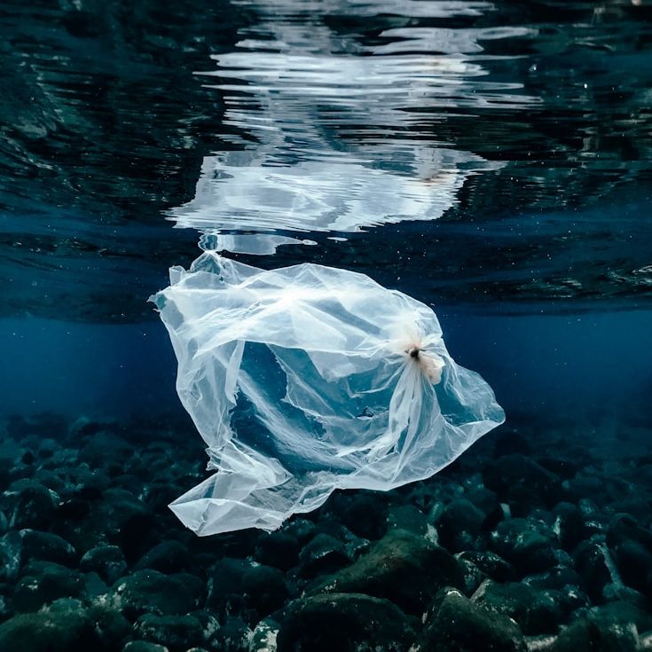 Breaking the Plastic Wave 2025 – Investable Oceans