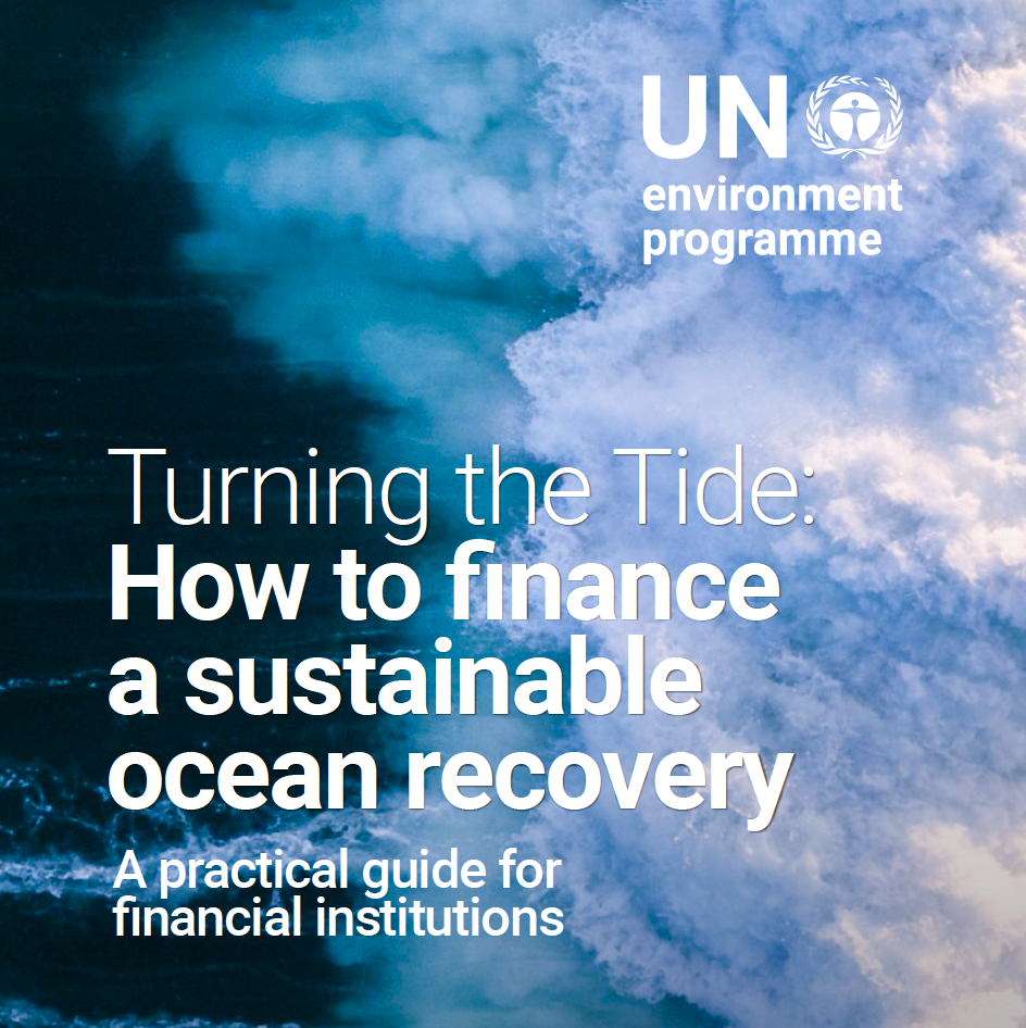 Turning the Tide: How to Finance a Sustainable Ocean Recovery ...