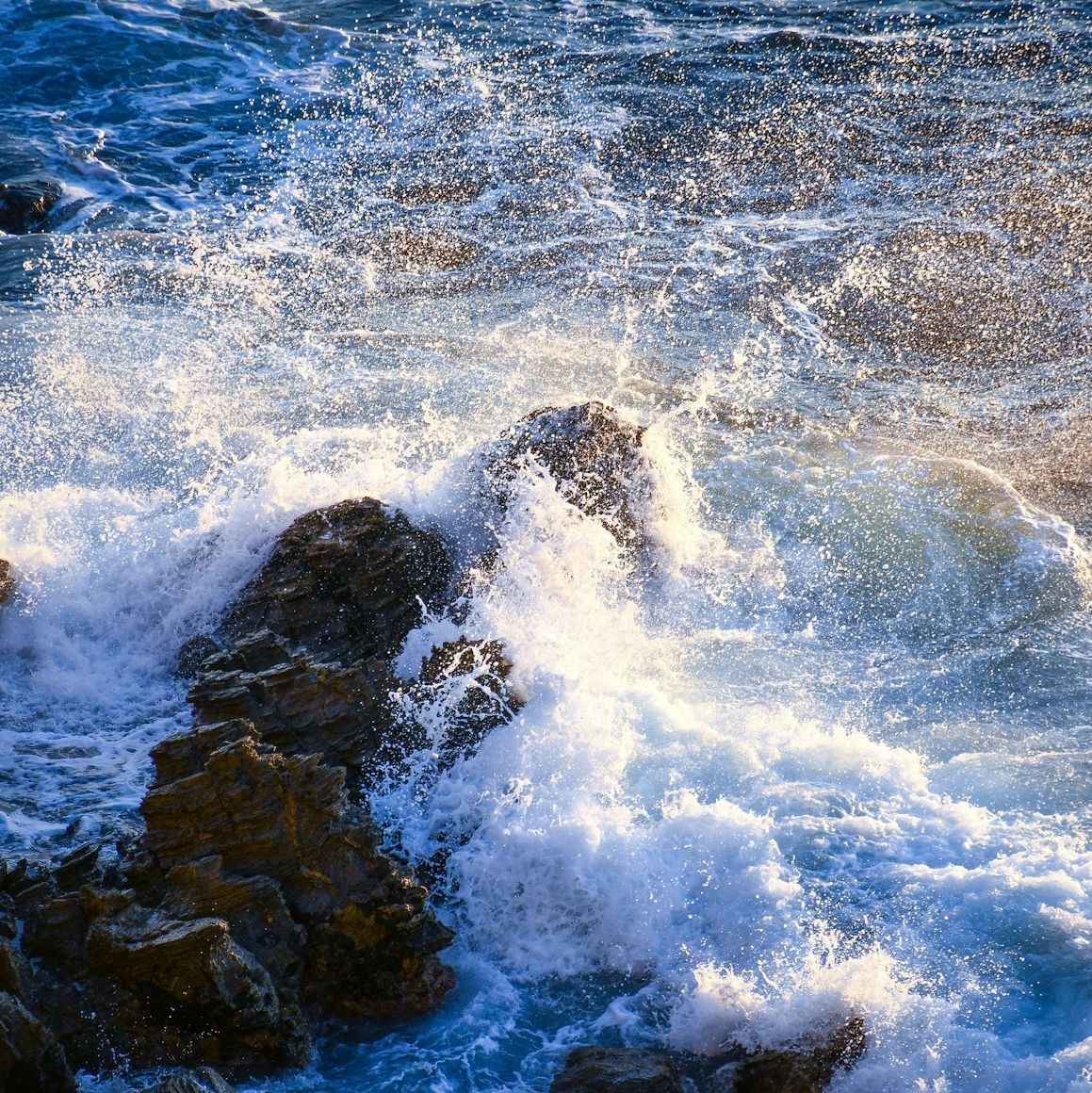 Investing in the Ocean: Financing the Path to 30×30 – Investable Oceans