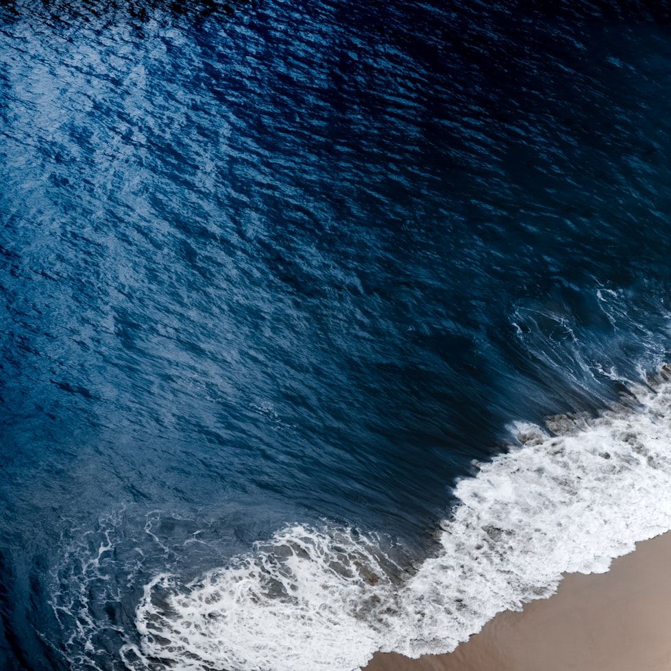 New Alliance for 100% Sustainable Ocean Management – Investable Oceans