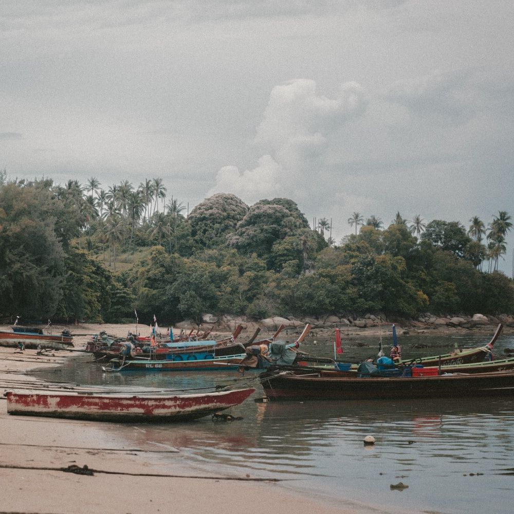 The Potential of the Blue Economy: Increasing Long-term Benefits of th ...