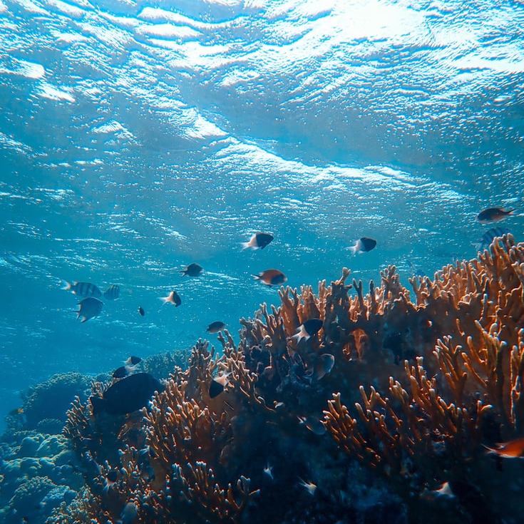 Delivering a Sea - Change: A G7 Ocean Finance Deal – Investable Oceans