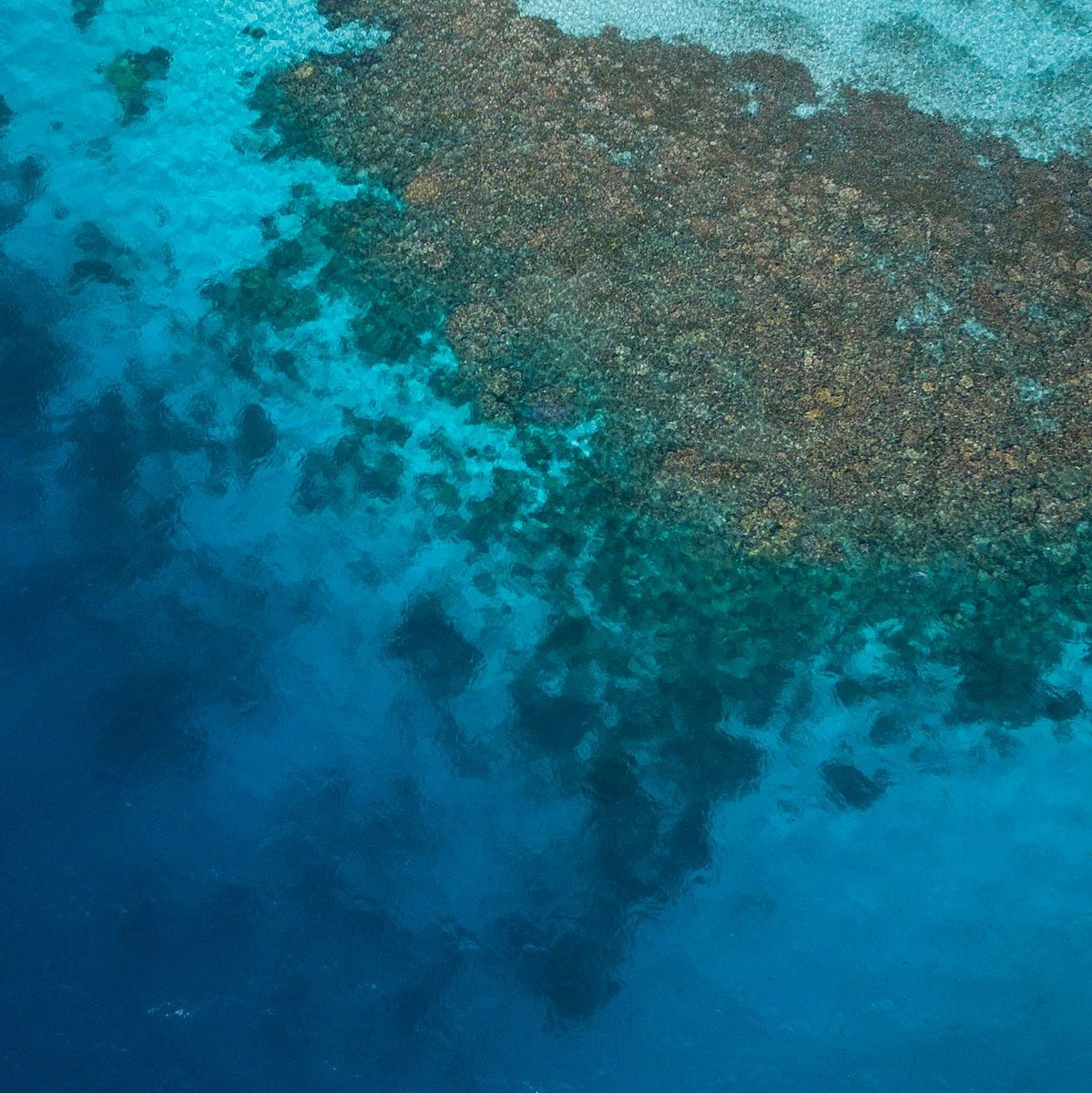 Ocean Panel Progress Report 2024 – Investable Oceans