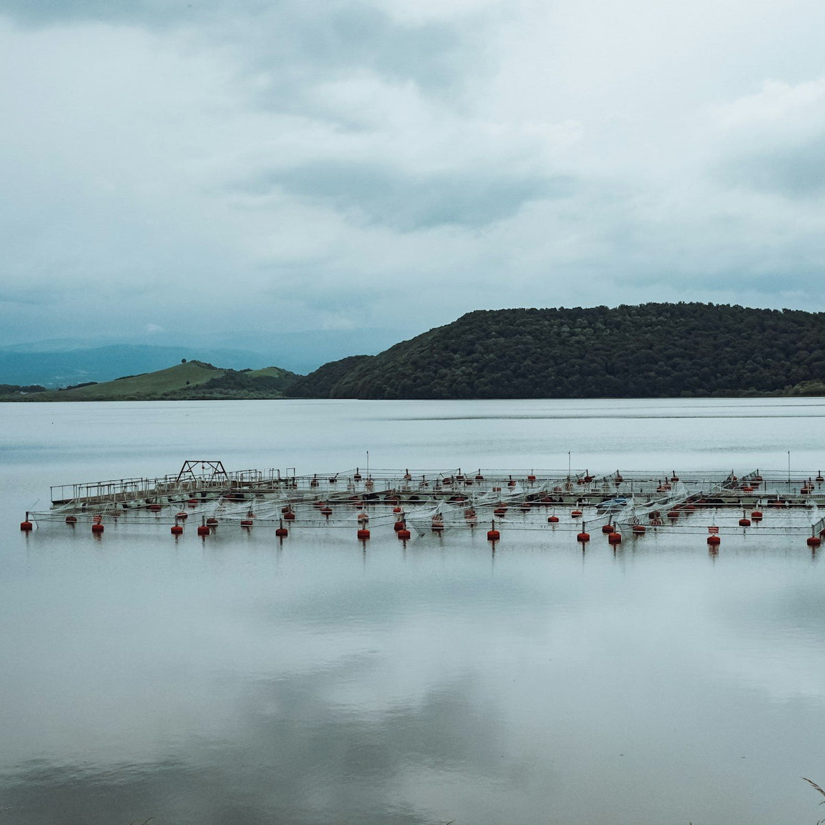 How can a floating fort help produce more sustainable seafood ...