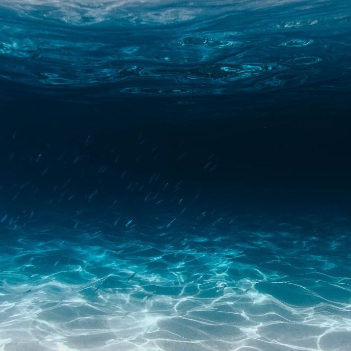 Integrated ocean management can accelerate blue growth – Investable Oceans