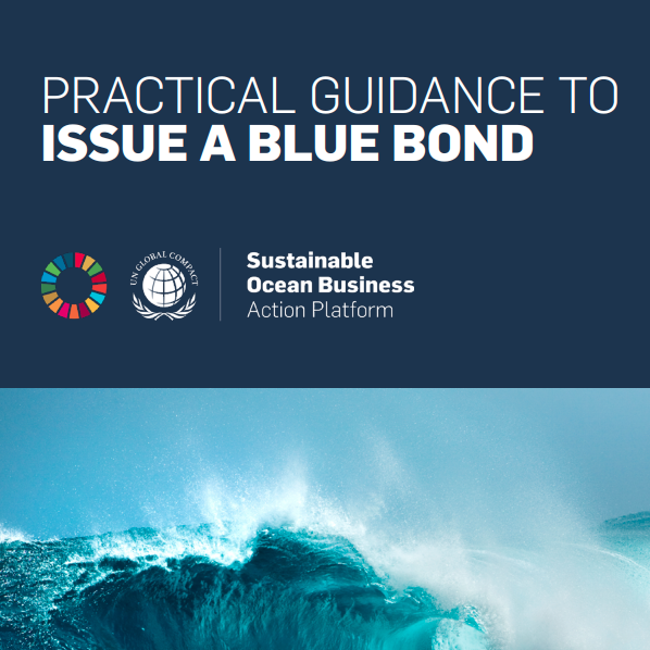 Practical Guidance to Issue a Blue Bond – Investable Oceans