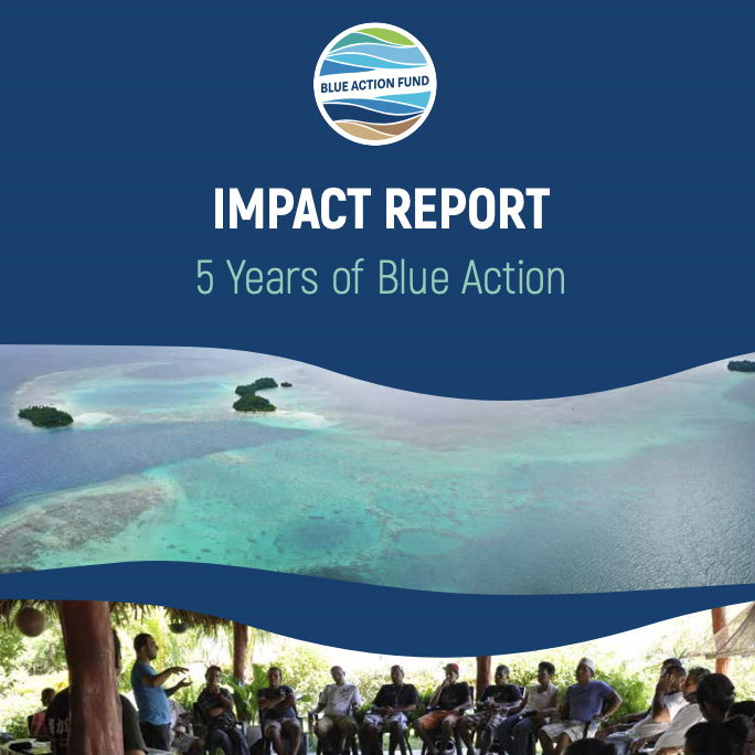 Impact Report: 5 Years of Blue Action – Investable Oceans