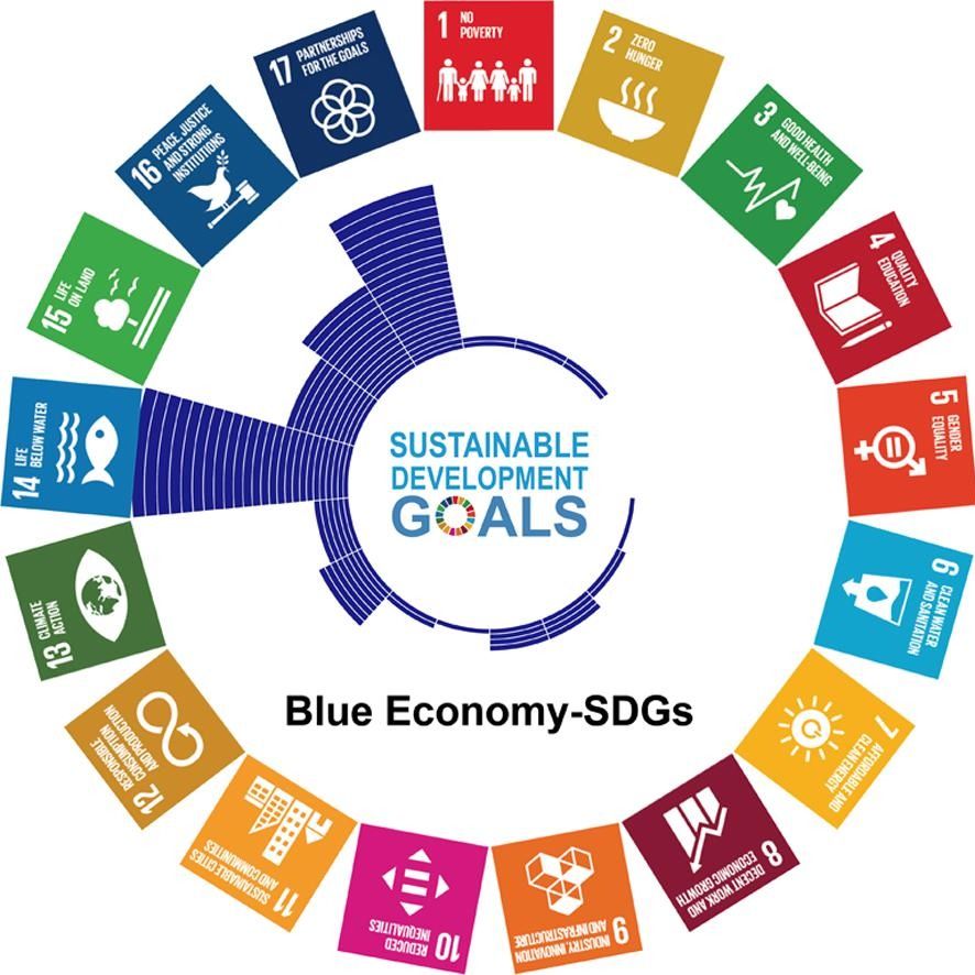 The Blue Economy and the United Nations’ sustainable development goals ...