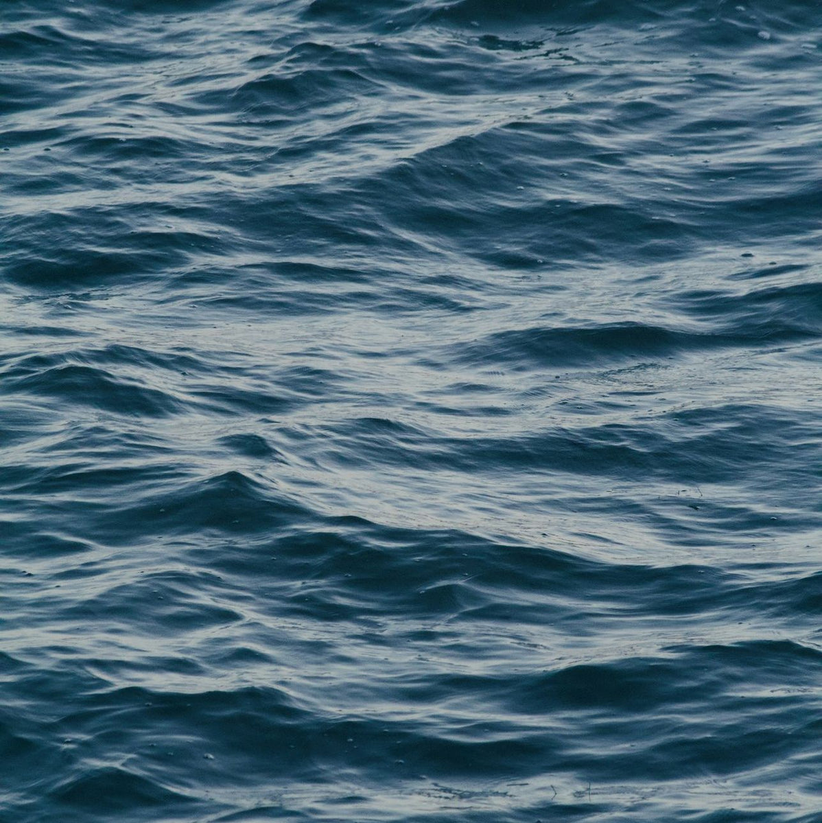 Iceland Ocean Cluster launches new blue venture fund – Investable Oceans