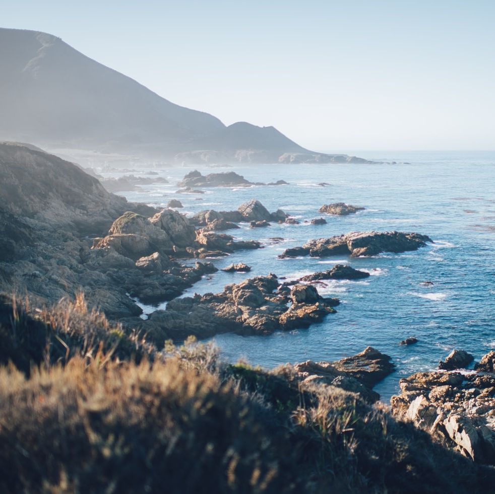 Global rarity of intact coastal regions – Investable Oceans