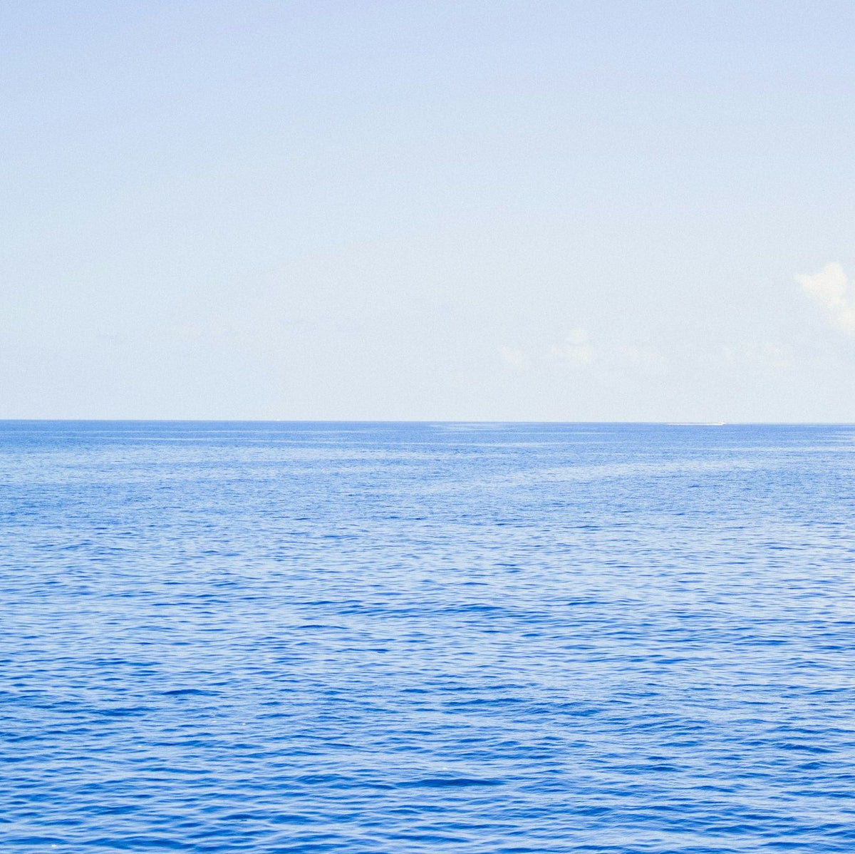 Deutsche Bank Enhances Ocean Protection Policies Under #BackBlue Initi ...