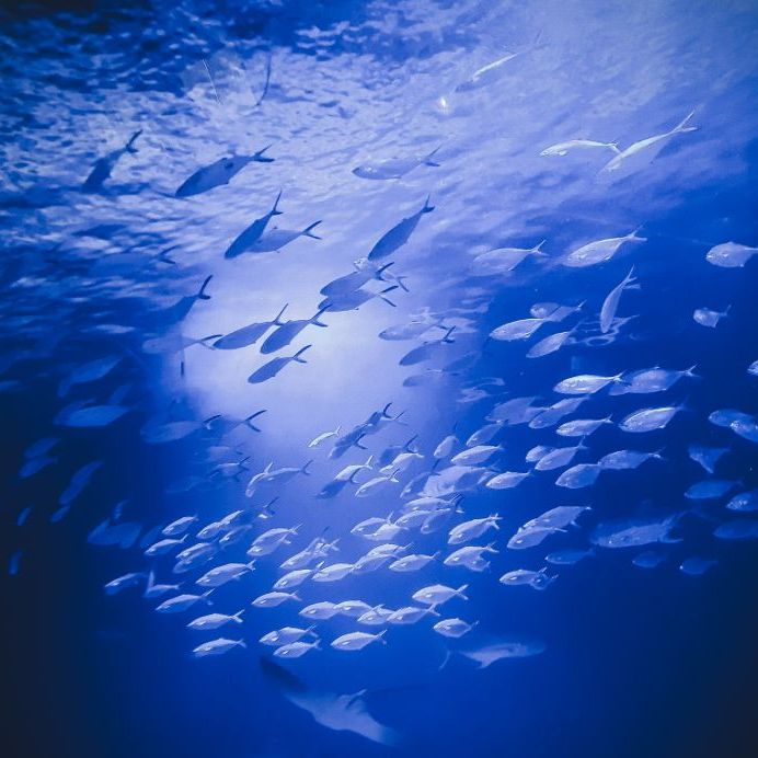 DOC and NOAA Launch the Ocean-Based Climate Resilience Accelerator Pro ...