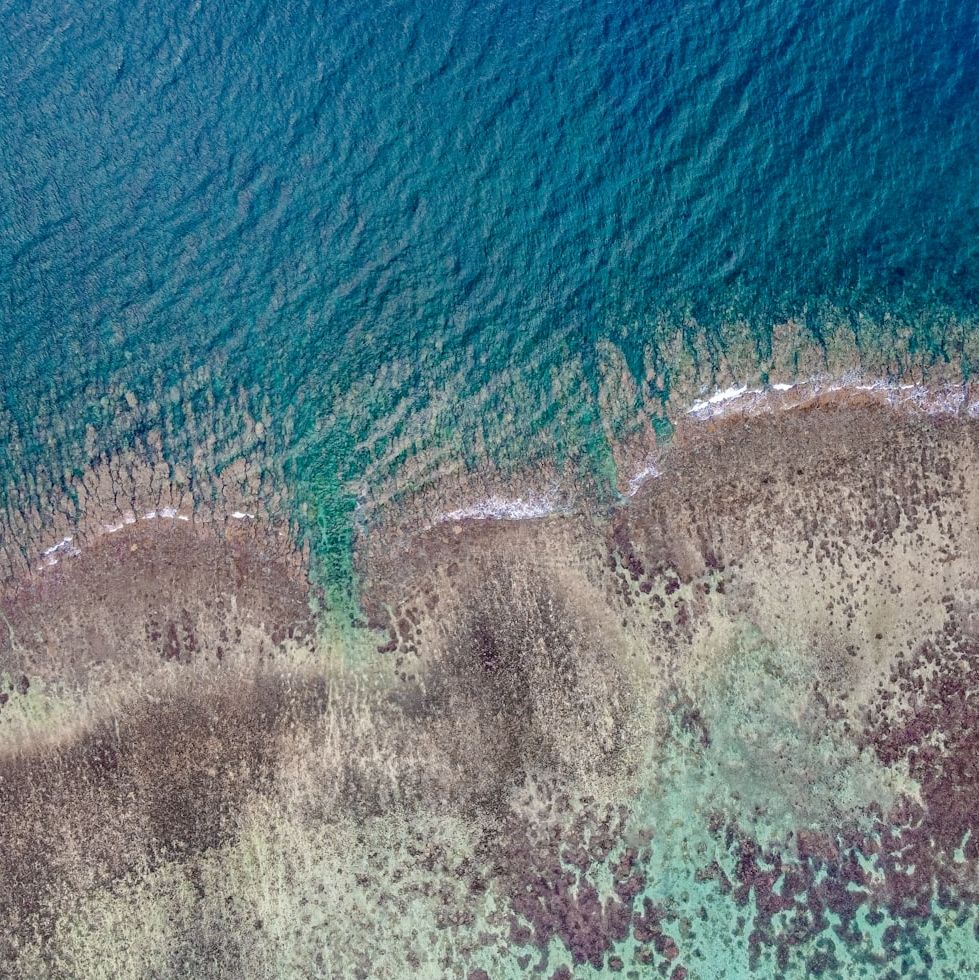 Beyond grants: Accelerating blended finance for ocean-positive investm ...