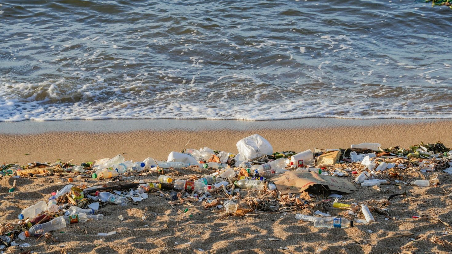 This unmanned underwater robot can remove ocean trash – Investable Oceans