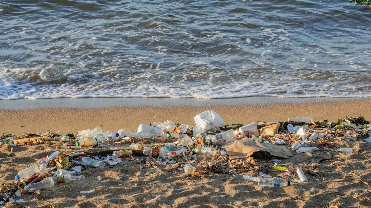 This unmanned underwater robot can remove ocean trash – Investable Oceans