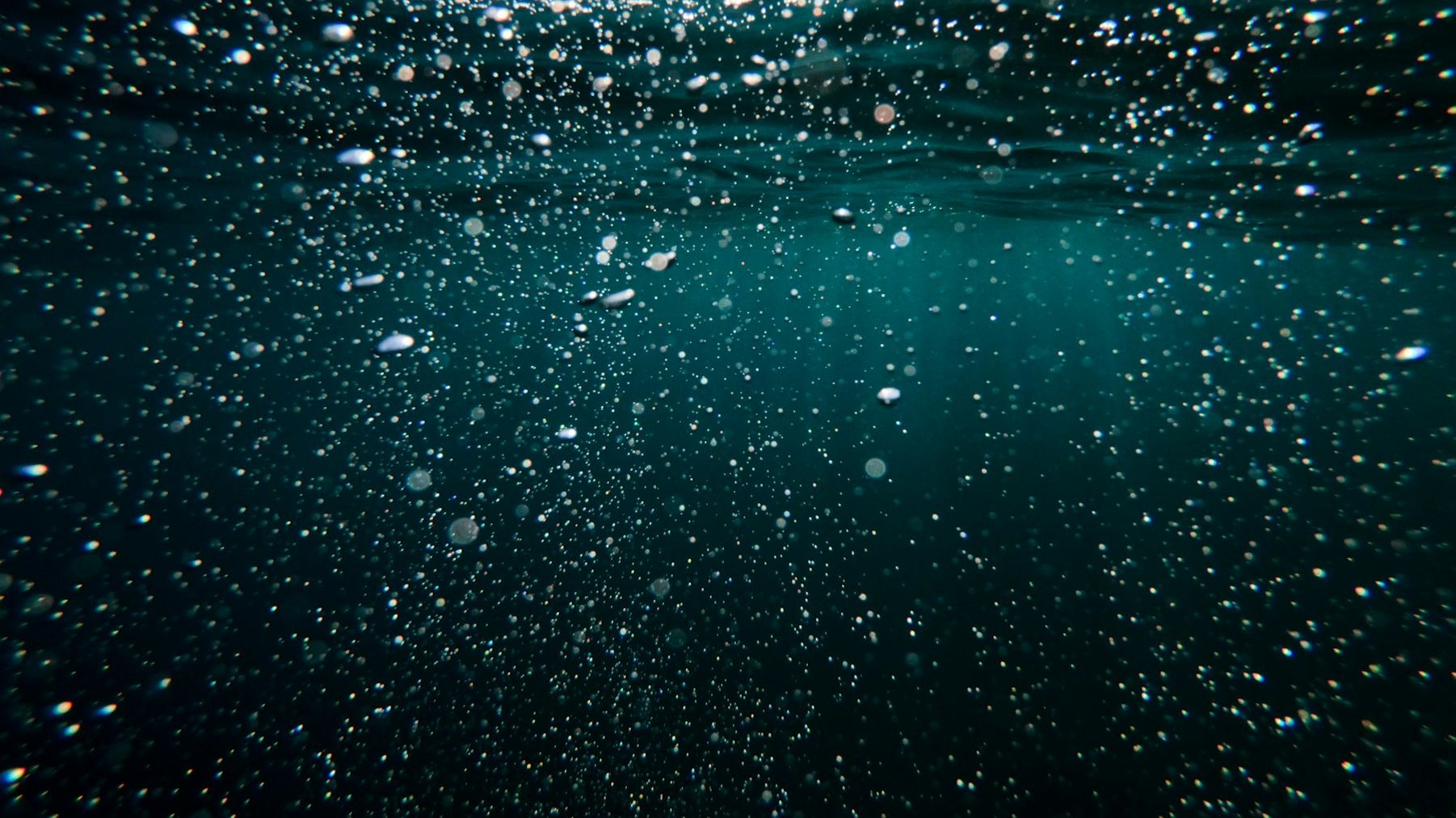 New MBARI technology reveals ocean carbon storage in real time ...