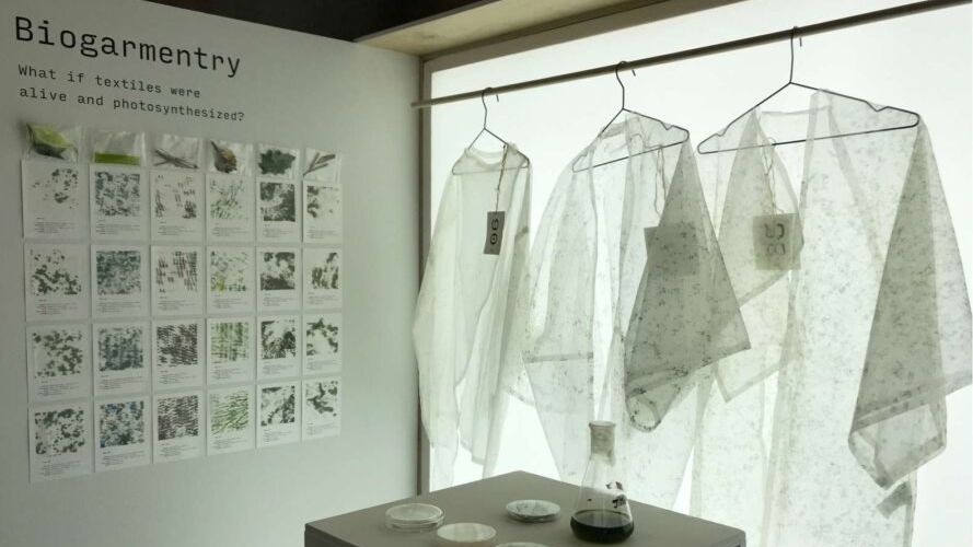 New biofabricated clothing made from algae goes through photosynthesis ...