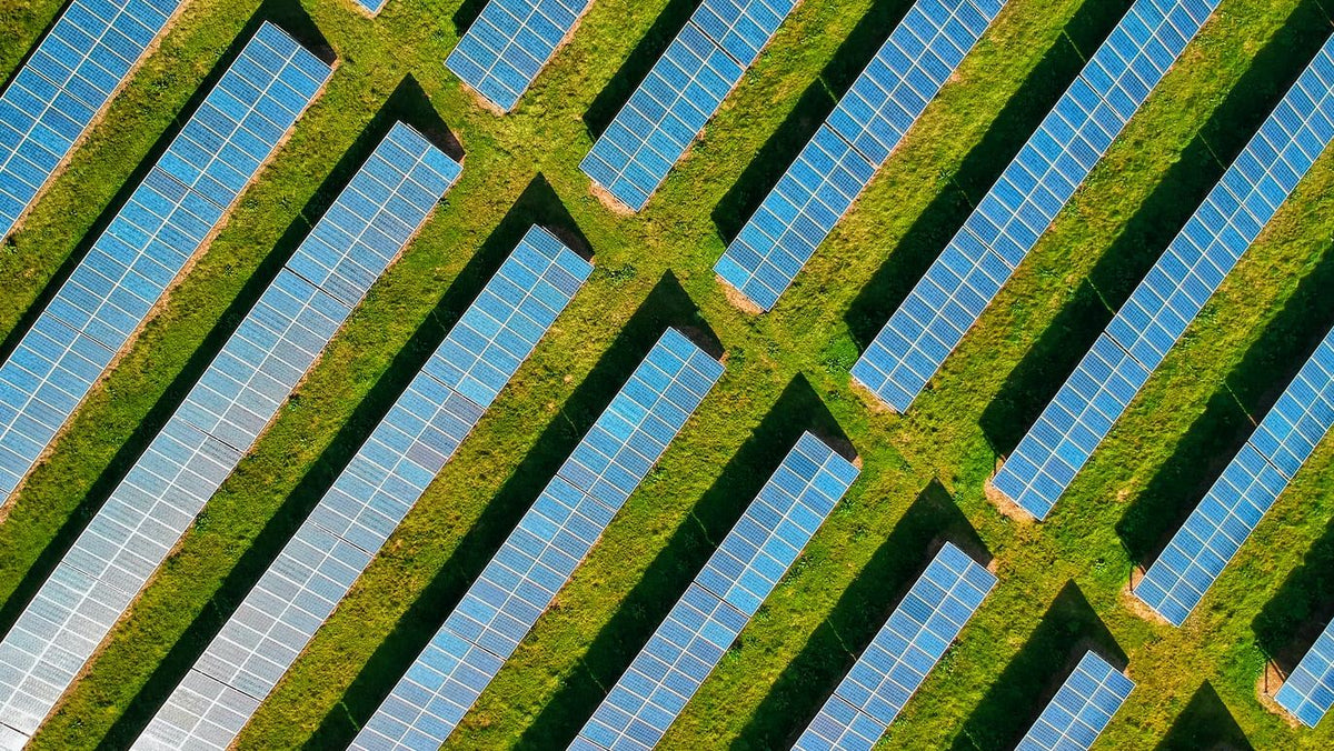 Taiwan to build solar-powered fish farm – Investable Oceans